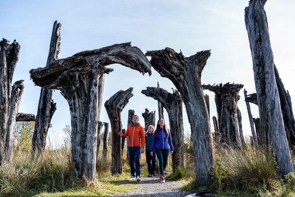 Lough Boora Mesolithic Loop Walk - Co. Offaly Routes & Loops