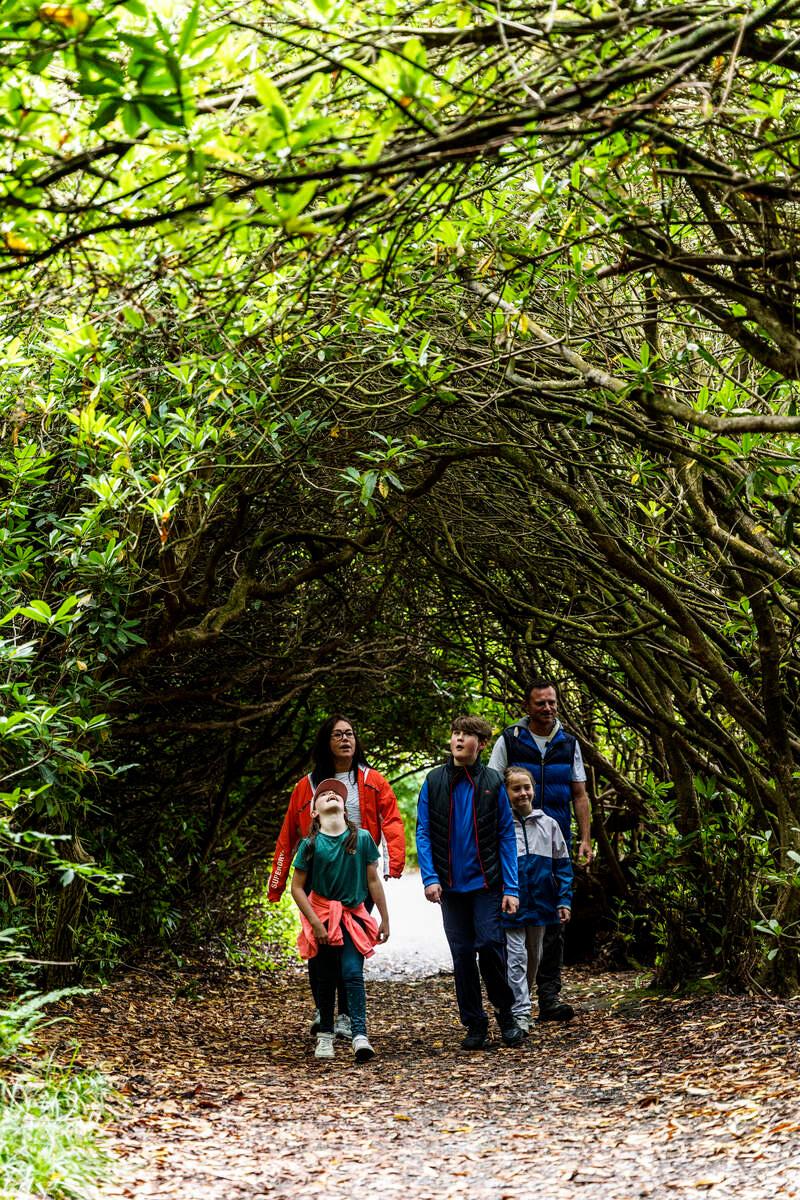 Rossmore Forest Park - Co. Monaghan Forest Parks, Parks